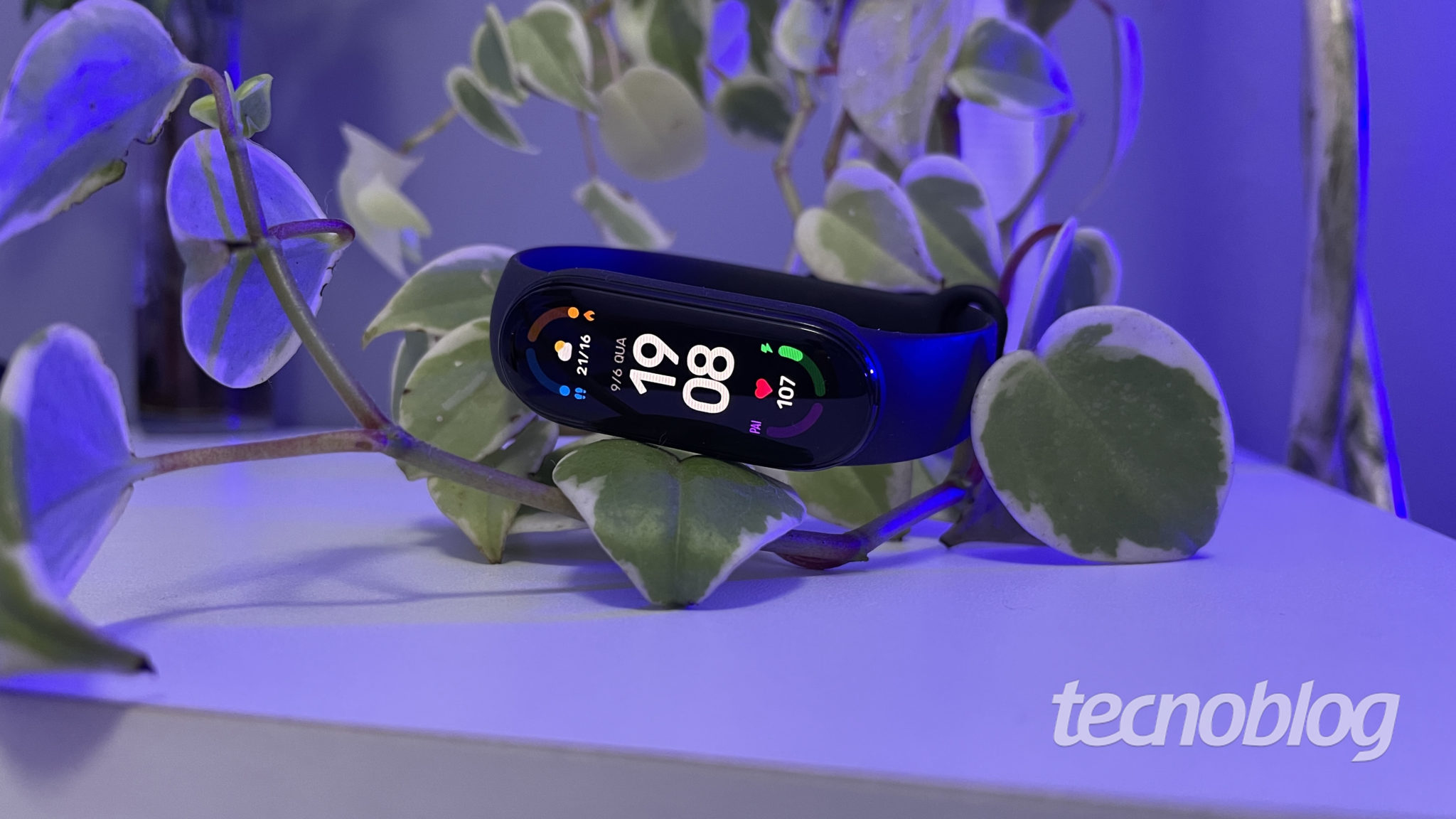 Review Xiaomi Mi Band 6: conquistando pelo básico • Tecnoblog