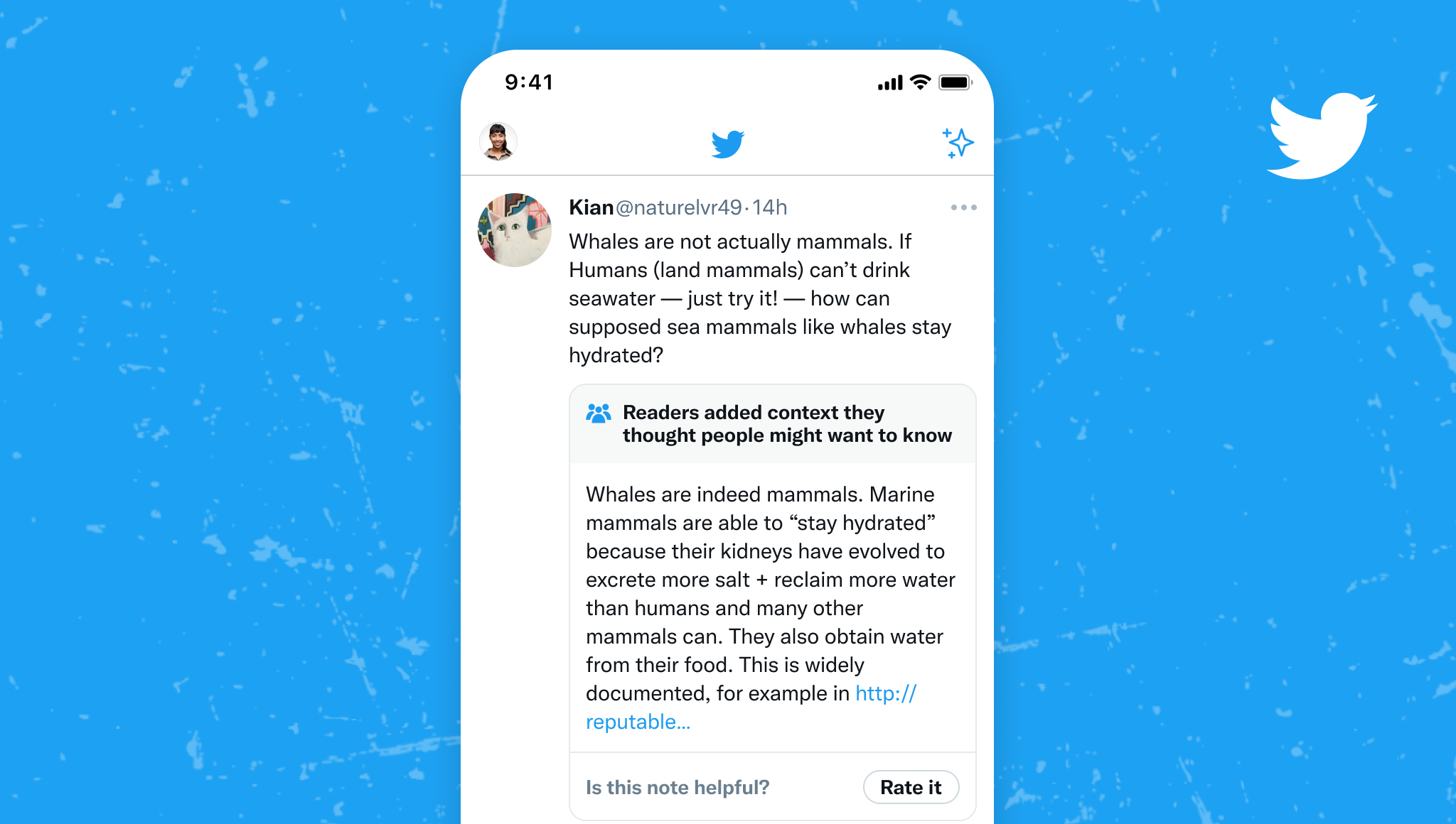Twitter quer a sua ajuda para combater fake news • Tecnoblog