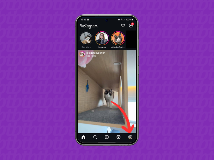 Como fazer Reels com Stories do Instagram • Tecnoblog