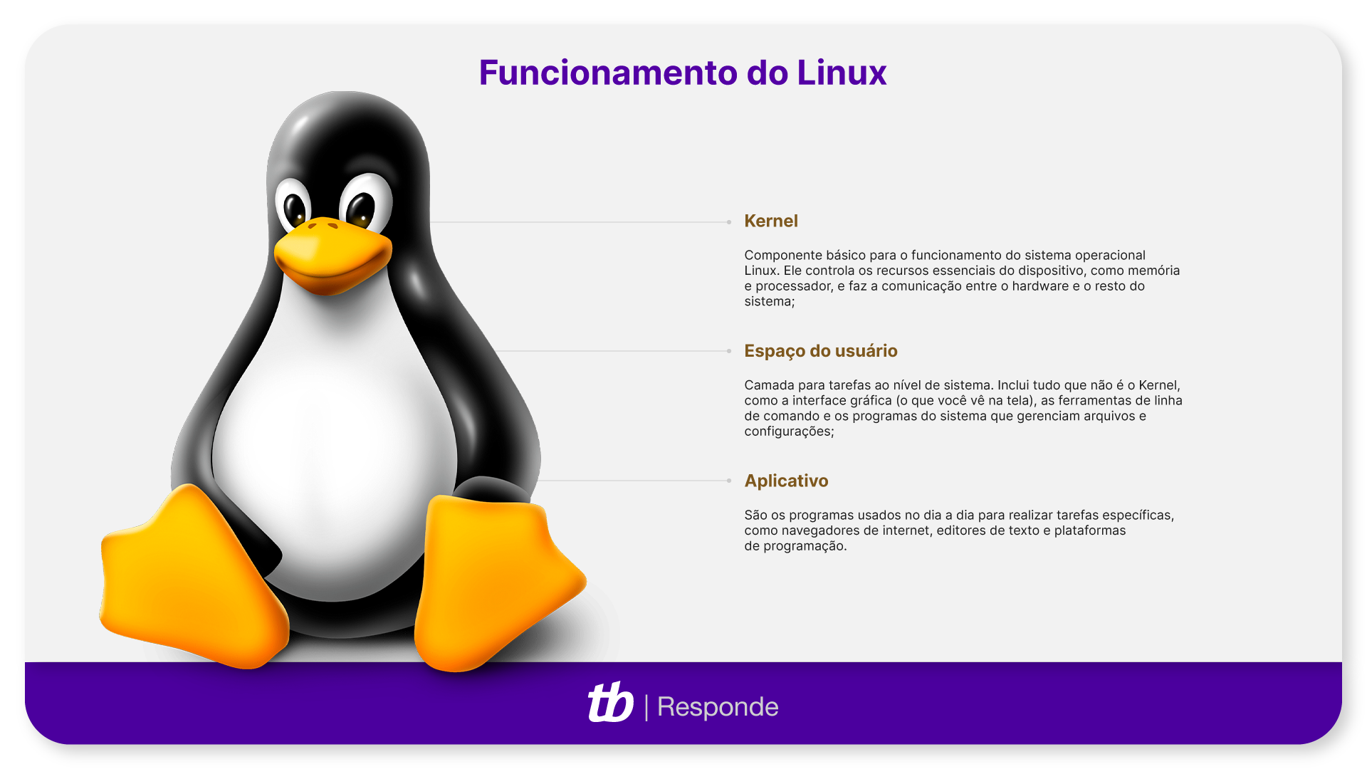 O que é Linux? Entenda a importância dos sistemas operacionais de ...